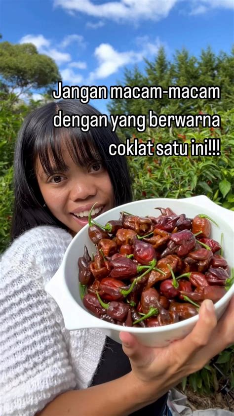 Beb Ya Bebya • Instagram Photos And Videos