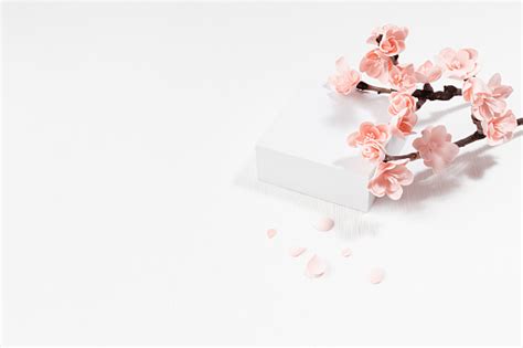 봄 무대 모형 프레젠테이션 화장품 상품 및 부드러운 분홍색 사쿠라 꽃의 나뭇가지 일본 전통 스타일의 흰색 나무 배경에 꽃잎 상위