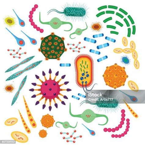 細菌向量圖形及更多健保和醫療圖片 健保和醫療 傳染病 危險 Istock