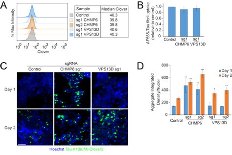 CHMP6 Knockdown Accelerates The Prion Like Propagation Of Tau