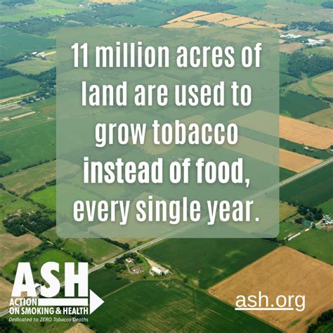 Un Treaty On Plastic Pollution Ash Action On Smoking And Health