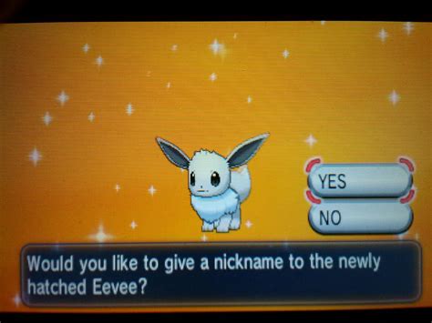 Pokemon X Shiny Eevee After 1 200 Eggs By Xmaikowolfx On Deviantart