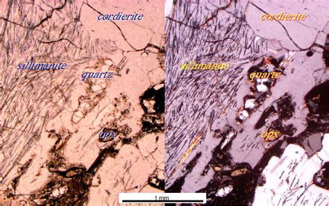 Staurolite Thin Section
