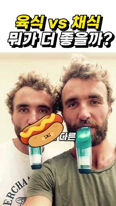 육식 Vs 채식 쌍둥이 12주 테스트 Youtube