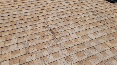 How Hail And This Wind Create A Roof And What To Do With It