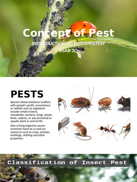 Concept Of Pest Pdf