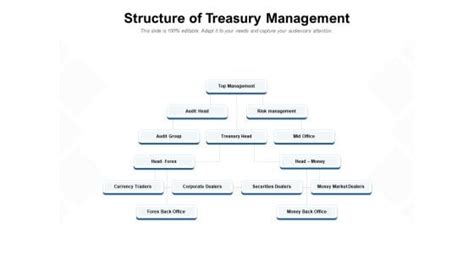 Structure Of Treasury Management Ppt Powerpoint Presentation Summary