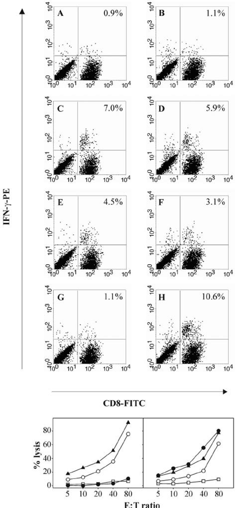 Percentages Of Virus Speci Fi C Cd8 ϩ T Cells In Pbmc Cul Tures