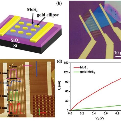 Schematic And Characterization Of Gold‐mos2 Photodetector A Schematic Download Scientific