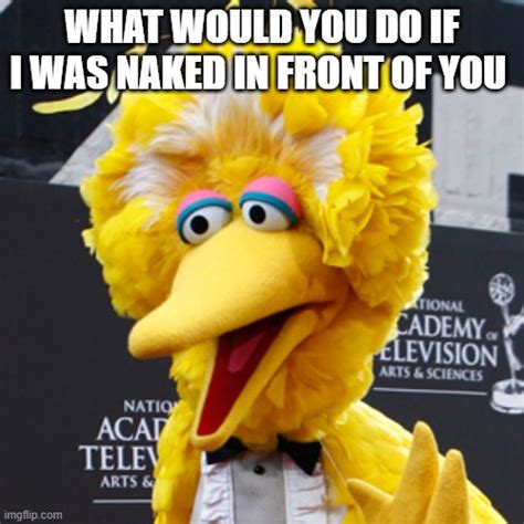 Big Bird Meme Imgflip