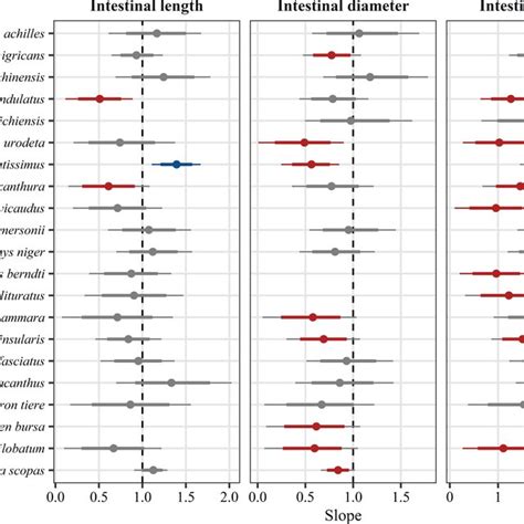 Species‐specific Scaling Parameters Of Three Natural‐log Intestinal