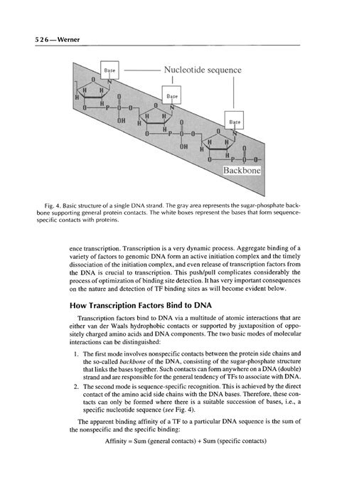 introduction to bio informatics 102 5 26 werner nucleotide sequence
