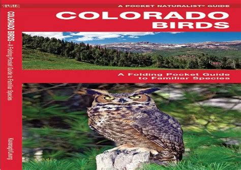 Ppt Pdf ⭐ Download Ebook ⭐ Colorado Birds A Folding Pocket Guide