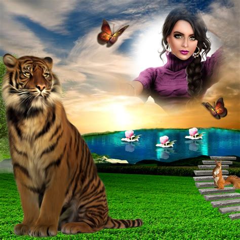 It SMichelle S Wildlife Frames Beautiful Tiger Beautiful Tiger