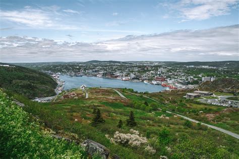 16 Things To Do In St Johns Newfoundland Drink Tea And Travel
