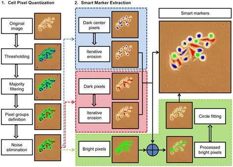 Schematic Overview Of The Proposed Algorithm Download Scientific Diagram
