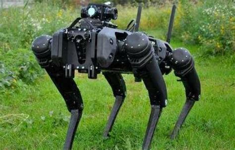China Is Building A Robot Army Heres The Video Rallypoint