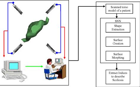 Figure 3 From Assessing Torso Deformity In Scoliosis Using Self