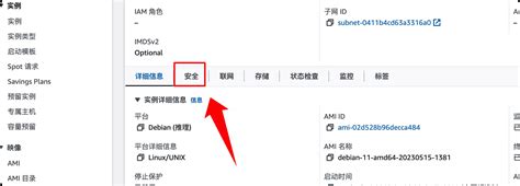 免费 个月使用体验AWS目前世界上最大的云服务器提供商家含DD教程 我不是咕咕鸽