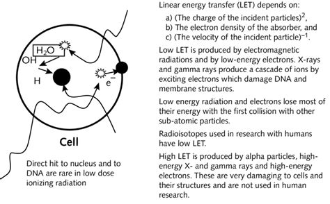 Interactions Of Ionizing Radiation With Matter Download Scientific