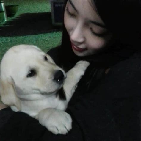 キム・ドヒさんのインスタグラム写真 キム・ドヒinstagram「 울 강수랑 함께한지 벌써 8년이나 됐구나 강수앨범