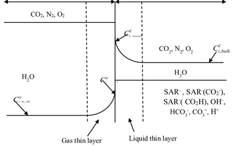 Concentration Gradients At The Vapor Liquid Interphase Download