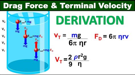 Physics Class 11 Chapter 6 Fluid Dynamics Derivation Of Drag Force And