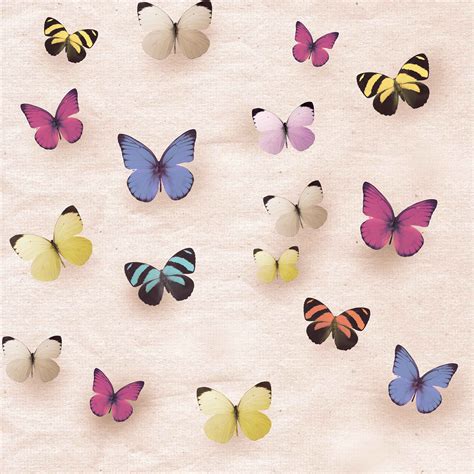 Tiger Butterflies Brett Design Inc