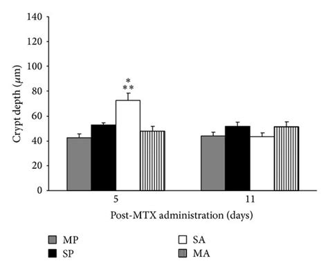 Crypt Depth μm In The Duodenum A Jejunum B And Ileum C Of Download Scientific Diagram