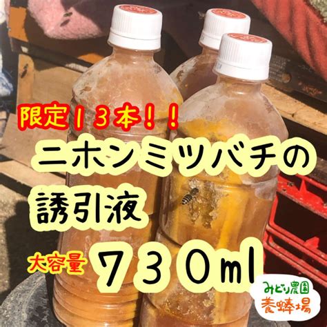 在庫限り！ ニホンミツバチ 誘引液 730ml 実績有 日本蜜蜂 捕獲用誘引液 メルカリ