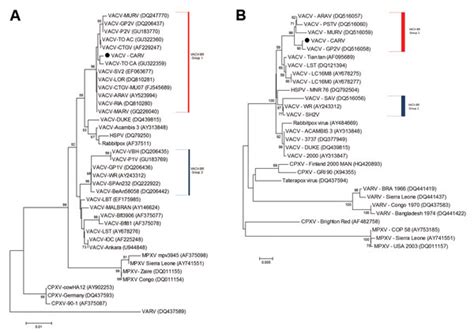 Figure Vaccinia Virus In Household Environment During Bovine Vaccinia