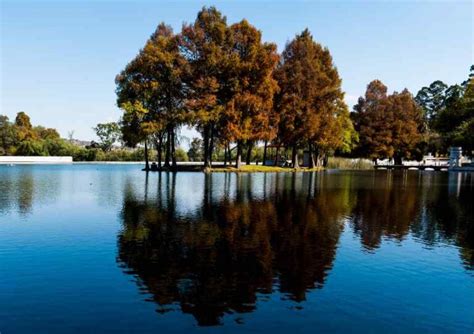 11 Vinotecas En Cdmx Que Debes Visitar The Guide Cdmx