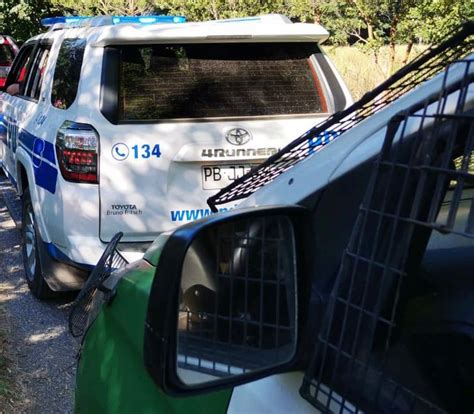 Conductor De Bat Chile Fue Abordado Por Delincuentes En Ruta Valdivia