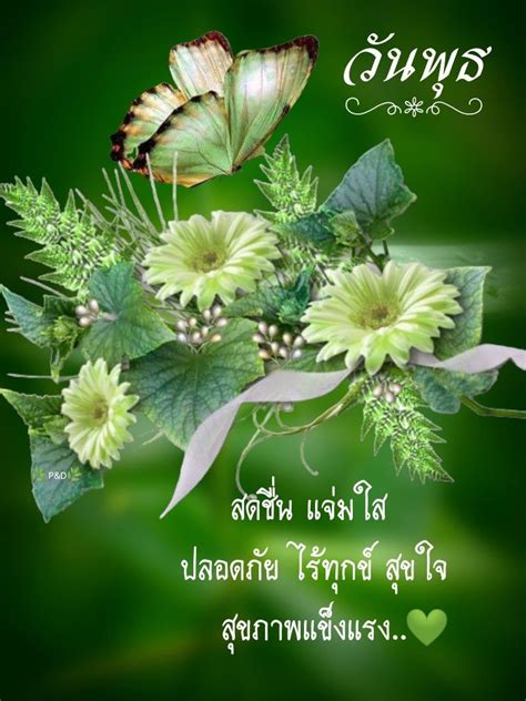 วันพุธ 🌿💚 Alice And Wonderland Quotes Beautiful Flowers Happy Wednesday