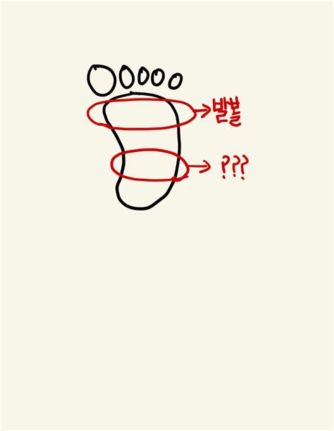 발 명칭좀 알려주세요 지식in