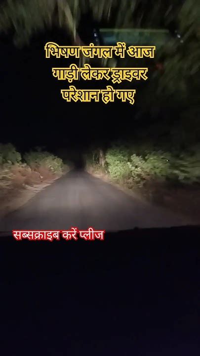 आज रात को जंगल में गाड़ी लेकर ड्राइवर साहब Truckdrivervlogs139