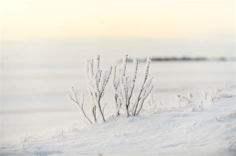 겨울철에 북극의 풍경 툰드라에 얼음과 눈이 있는 잔디 해질녘 0명에 대한 스톡 사진 및 기타 이미지 0명 강 겨울