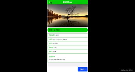 计算机毕设ssm番茄打卡app2klk9（开题源码） Csdn博客