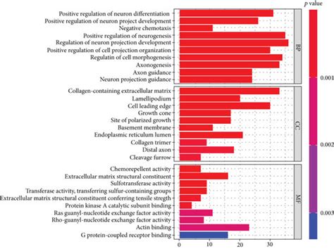 Gene Ontology Go And Kegg Pathway Enrichment Analyses For The Pdgfd