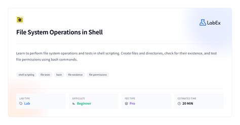 Shell File System Operations And Tests Labex