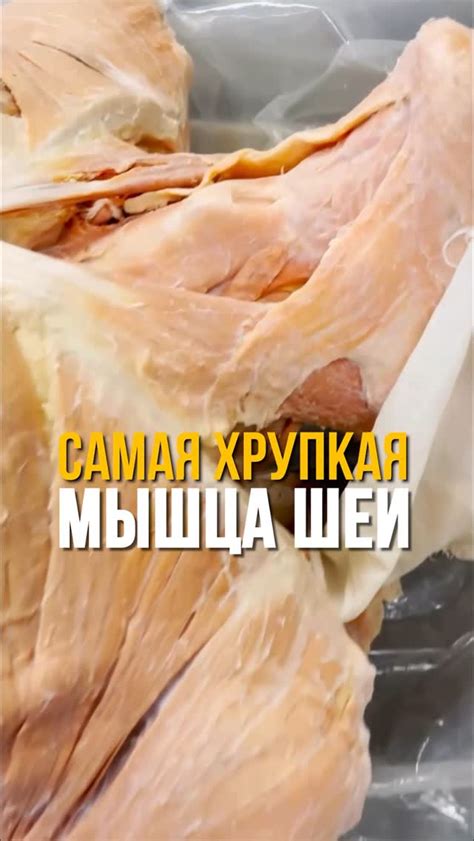 ОБУЧЕНИЕ МАССАЖИСТОВ АВТОР СИСТЕМЫ МЕДИЦИНСКОГО ОБОСНОВАНИЯ Полная версия лекции⬇️⬇️⬇️