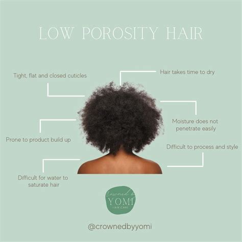 The Complete Guide To Low Porosity 4c Natural Hair Artofit