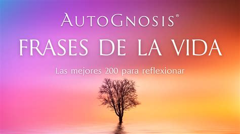 Frases de sonrisa de amor alegría y felicidad en palabras NudoHome