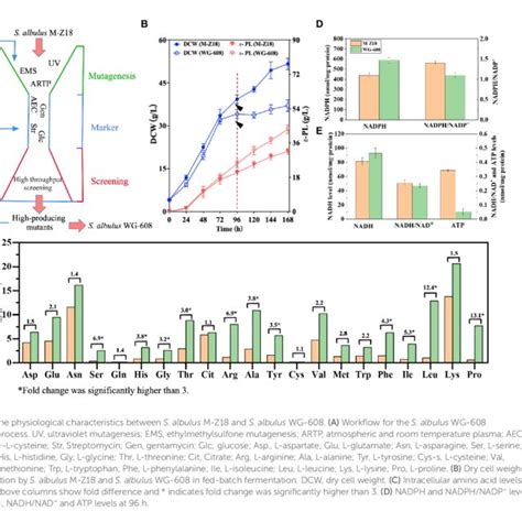 Classification Of Differential Expression Genes In Replication And