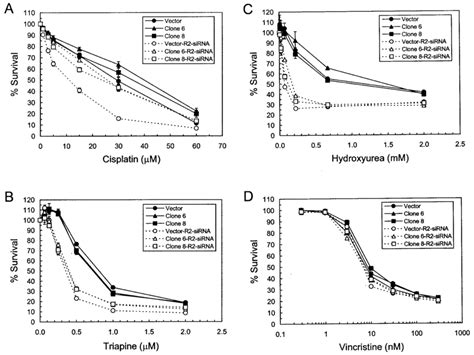 Sensitivity Of Control And R2 Silenced P53 Hct 116 Cells Vector