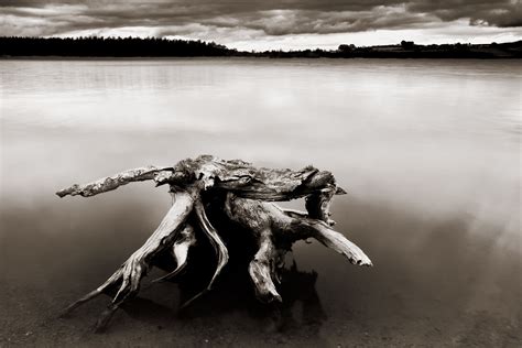 무료 이미지 물 자연 눈 겨울 검정색과 흰색 얼음 반사 단색화 흑백 사진 3600x2400 94865 무료 이미지 Pxhere