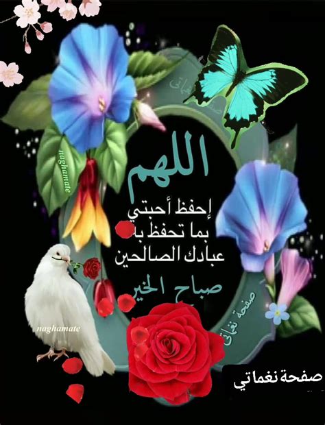 صباح الخير 🤗 لأهل الخير 🌺 صباح النور والسرور والورد والياسمين على