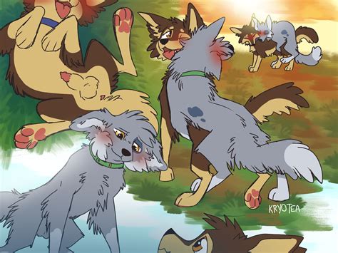 Rule 34 Animal Genitalia Anus Balls Blush Canid Canine Canis Chase