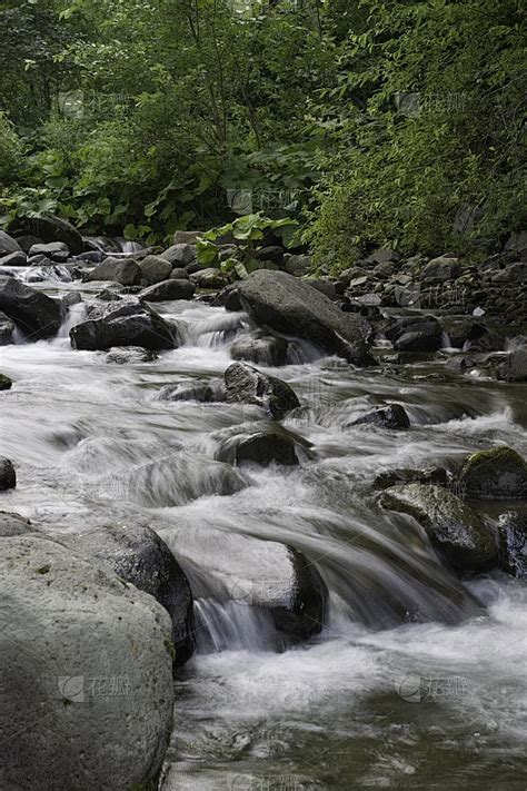 森林中的小溪素材 花瓣网