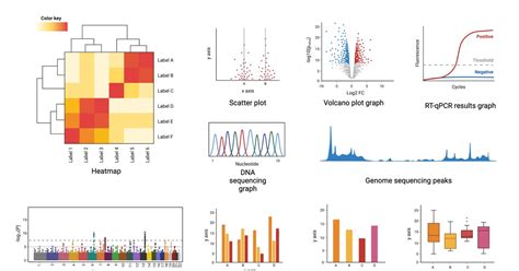 Understanding Bioinformatics Data A M Bioinformatics